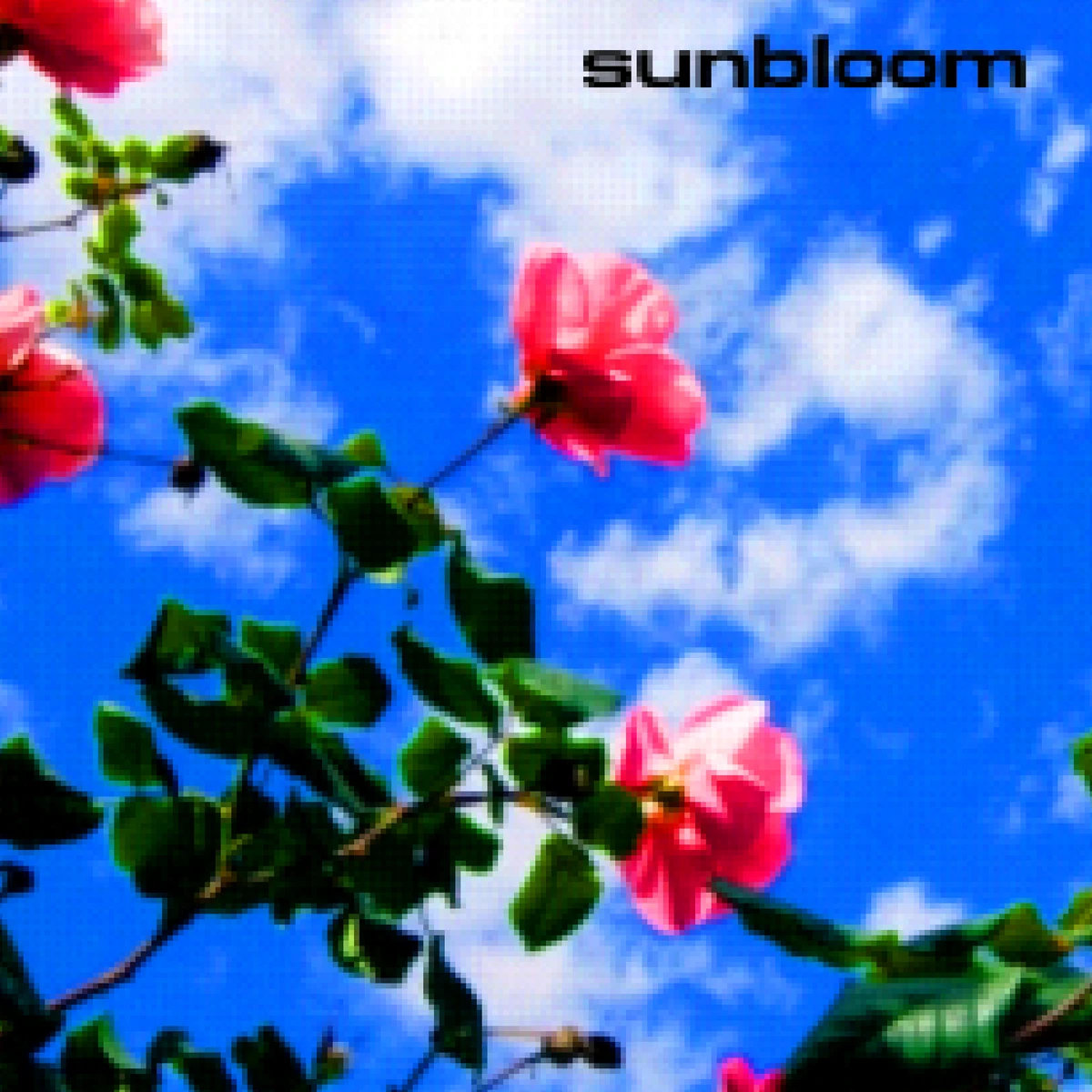 Sunbloom (Mixtape) | Plutonic Venus Wiki | Fandom