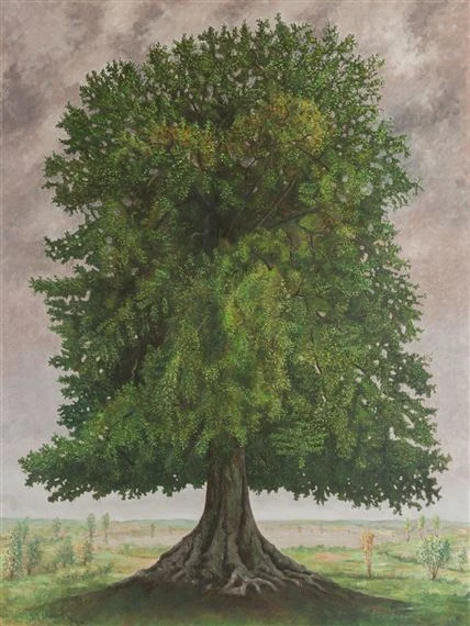 Beech | Vellichor Wiki | Fandom