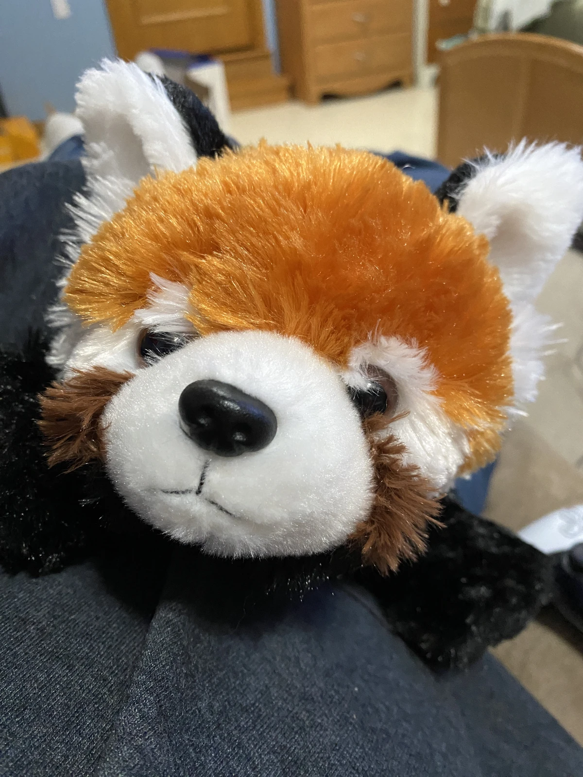 Plexie | The Plxpedia Wiki | Fandom