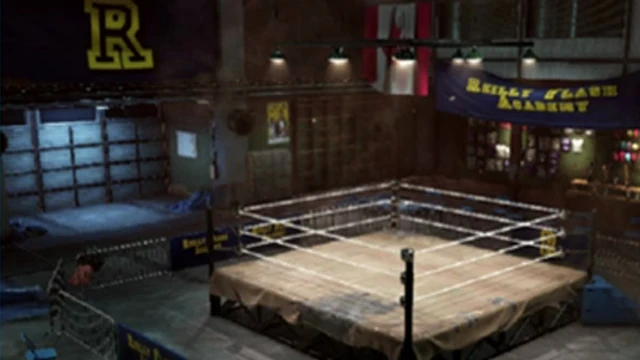 Reilly Flash's Wrestling Academy | P.M. Universe Wiki | Fandom