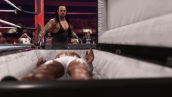 wwe 2k24 final flash