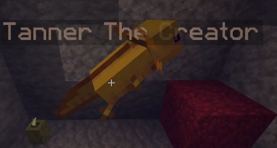 Tanner The Creator | PMS SMP Wiki | Fandom