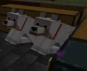 Luna | PMS SMP Wiki | Fandom