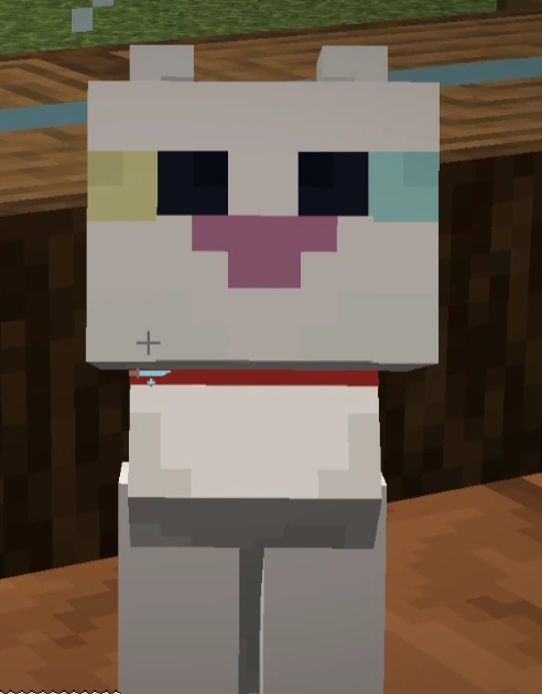 Unnamed Cat | PMS SMP Wiki | Fandom