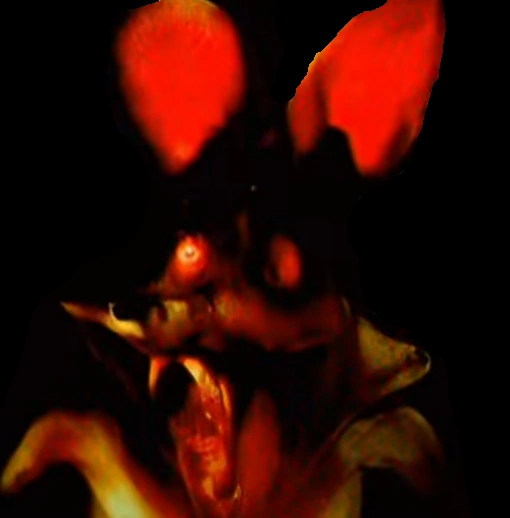 Aparat | PNG Phobia Wiki | Fandom