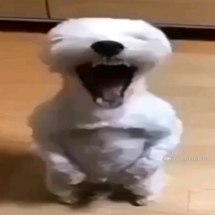 BAAAAAA | PNG Phobia Wiki | Fandom