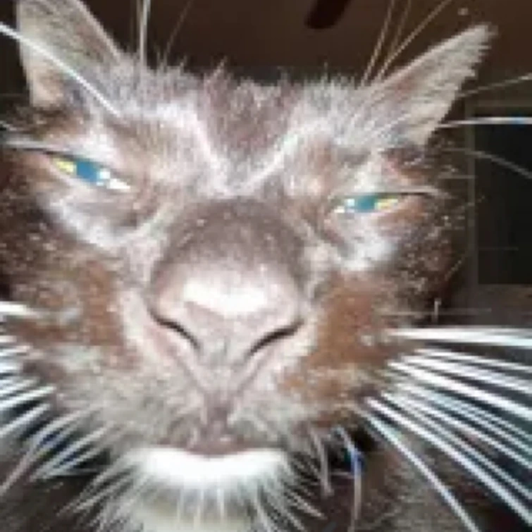 ca | PNG Phobia Wiki | Fandom