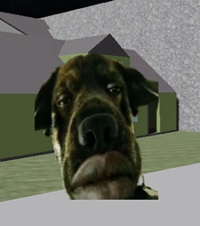 ohioan dog | PNG Phobia Wiki | Fandom