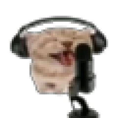 Yapper | PNG Phobia Wiki | Fandom