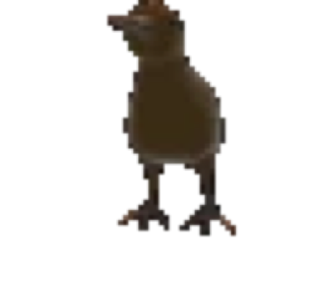 Kiwi | PNG Phobia Wiki | Fandom