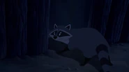Meeko | Pocahontas Wiki | Fandom