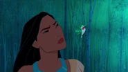 Flit | Pocahontas Wiki | Fandom
