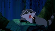 Meeko | Pocahontas Wiki | Fandom