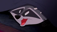 Meeko | Pocahontas Wiki | Fandom