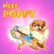 Poppy | Dungeon Dogs Wiki | Fandom