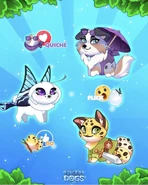 Flick | Dungeon Dogs Wiki | Fandom