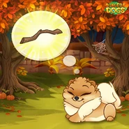 Poppy | Dungeon Dogs Wiki | Fandom