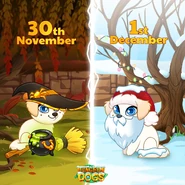 Lyra | Dungeon Dogs Wiki | Fandom