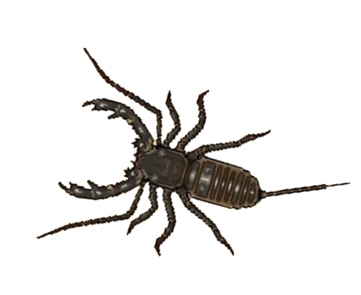 Vinagrillo Wiki Pocket Ants Español Fandom