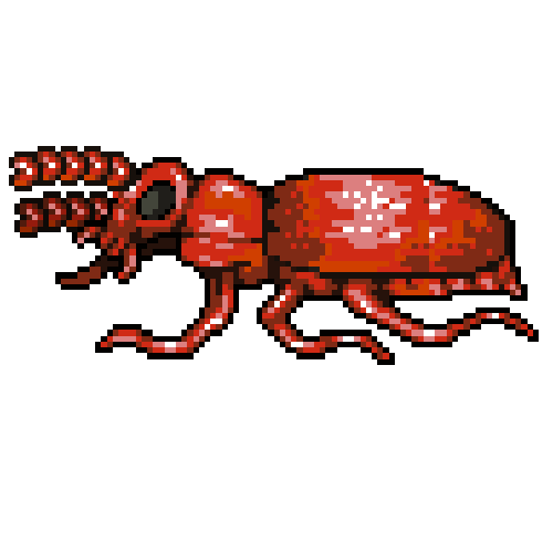 Escarabajo Pausino Wiki Pocket Ants Español Fandom