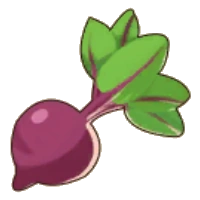 Beetroot | Pocket Pioneers Wiki | Fandom