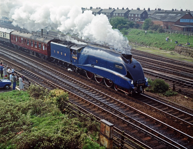 Mallard | Pocket Trains Wiki | Fandom