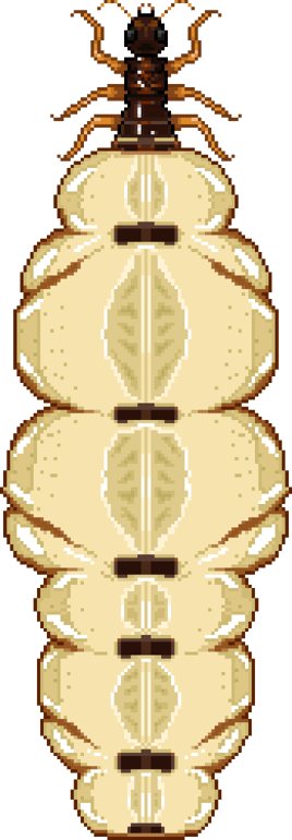 Termites | PocketAnts Wiki | Fandom