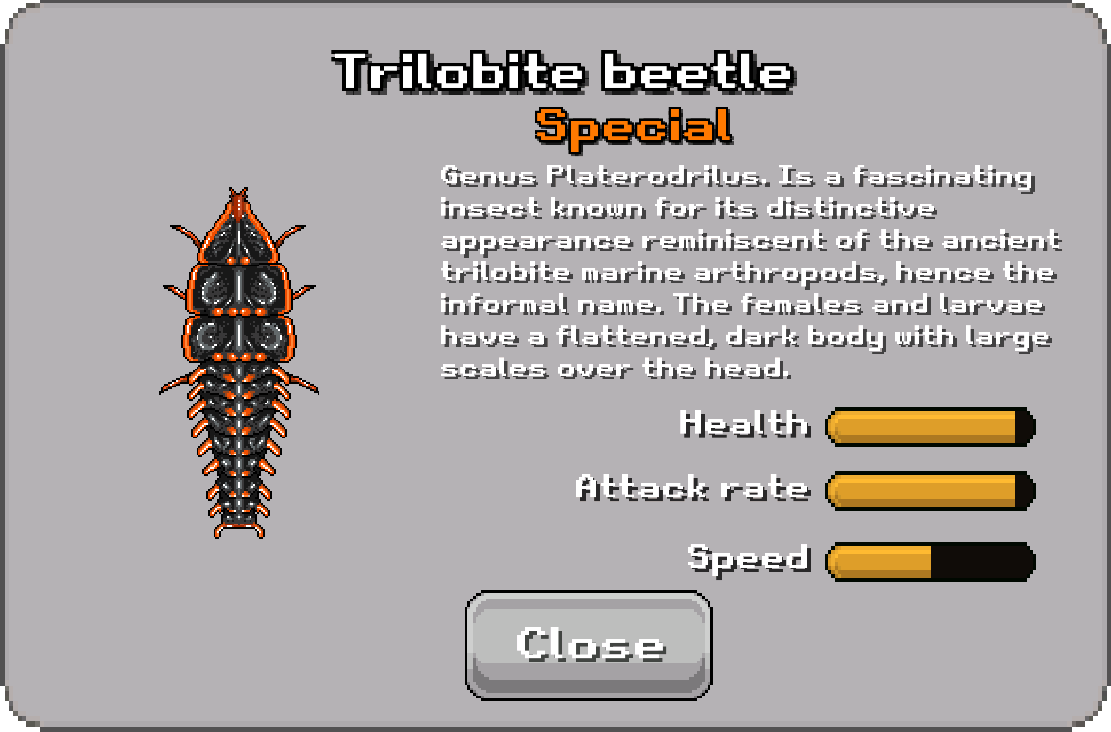 Trilobite Beetle Male