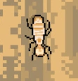 Termites | PocketAnts Wiki | Fandom
