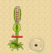 Venus Flytrap | PocketAnts Wiki | Fandom