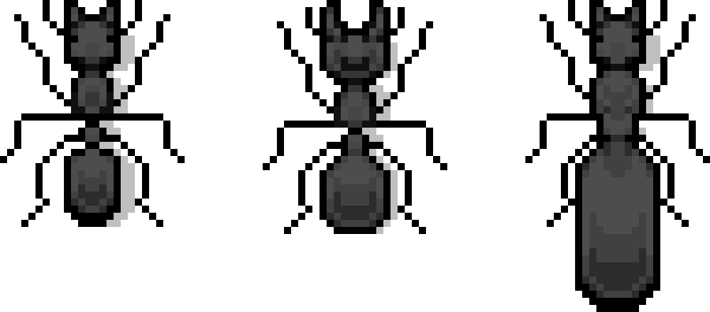 Ant Skins | PocketAnts Wiki | Fandom