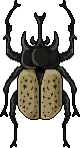 Rhinoceros Beetle | PocketAnts Wiki | Fandom