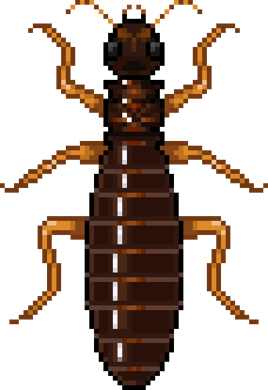 Termites | PocketAnts Wiki | Fandom