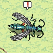 Emerald Cockroach Wasp | PocketAnts Wiki | Fandom