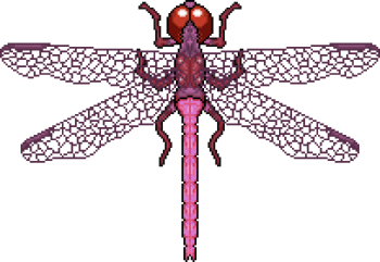 Roseate Skimmer Dragonfly | PocketAnts Wiki | Fandom