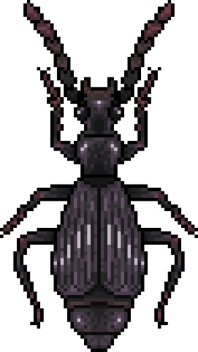 Lugubrious Bombardier Beetle | PocketAnts Wiki | Fandom