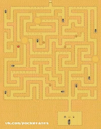 Beehive | PocketAnts Wiki | Fandom