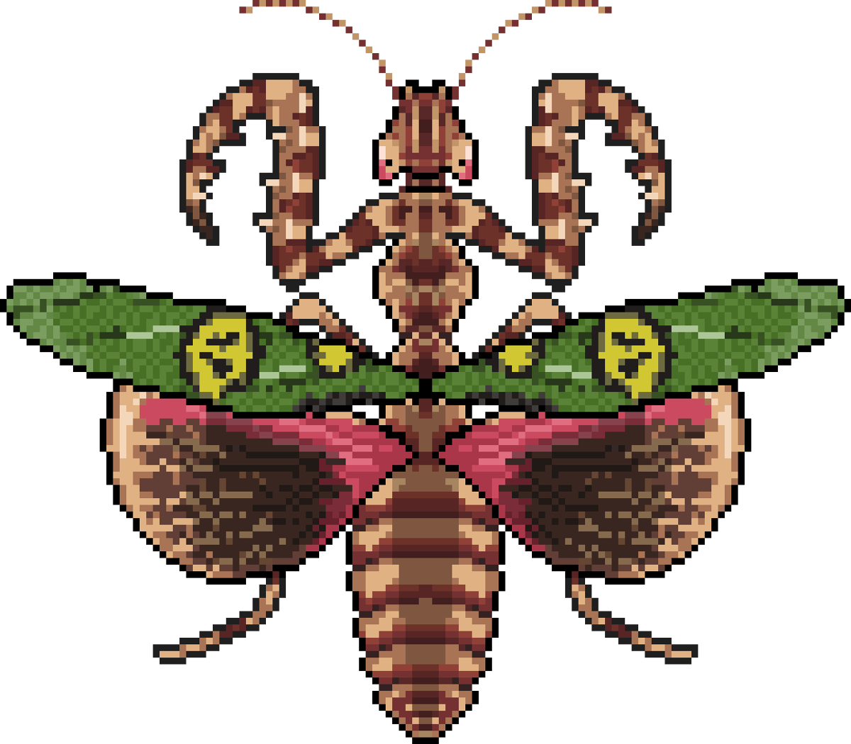Category:Mantises | PocketAnts Wiki | Fandom