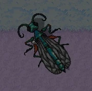 Emerald Cockroach Wasp | PocketAnts Wiki | Fandom