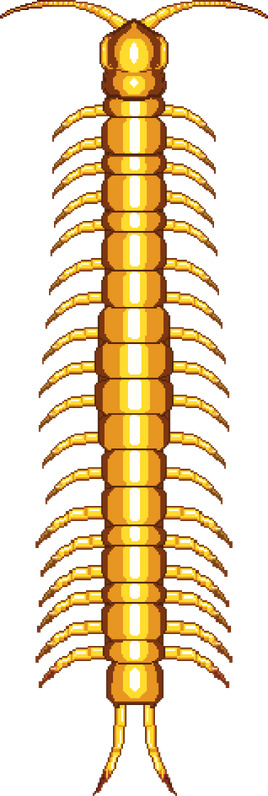 Centipede Pocketants Wiki Fandom