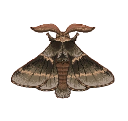 December Moth | PocketAnts Wiki | Fandom