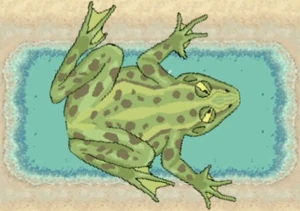 Frog Pond | PocketAnts Wiki | Fandom