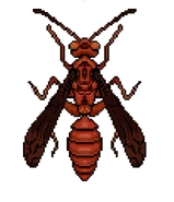 Special Creatures | PocketAnts Wiki | Fandom