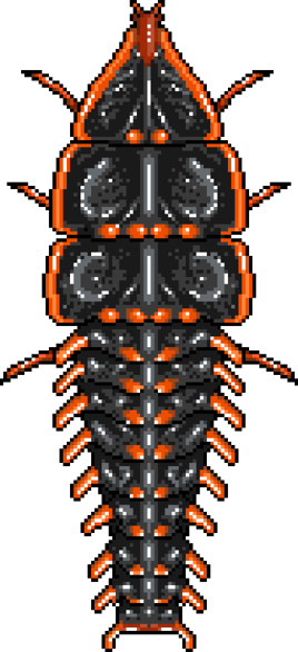 Trilobite Beetle | PocketAnts Wiki | Fandom