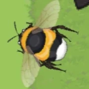 Bumblebee | PocketBees Wiki | Fandom