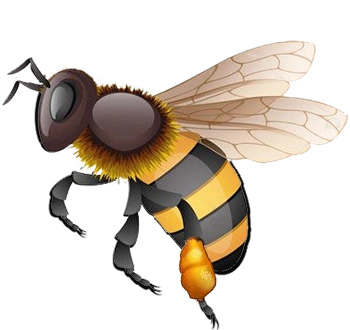 Worker Bees | PocketBees Wiki | Fandom