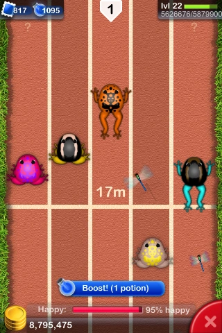 Frog Racing | Pocket Frogs Wiki | Fandom