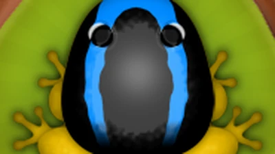 Discuss Everything About Pocket Frogs Wiki | Fandom
