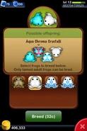 Aqua | Pocket Frogs Wiki | Fandom