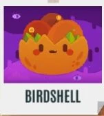 Birdshell | PocketPlants Wiki | Fandom